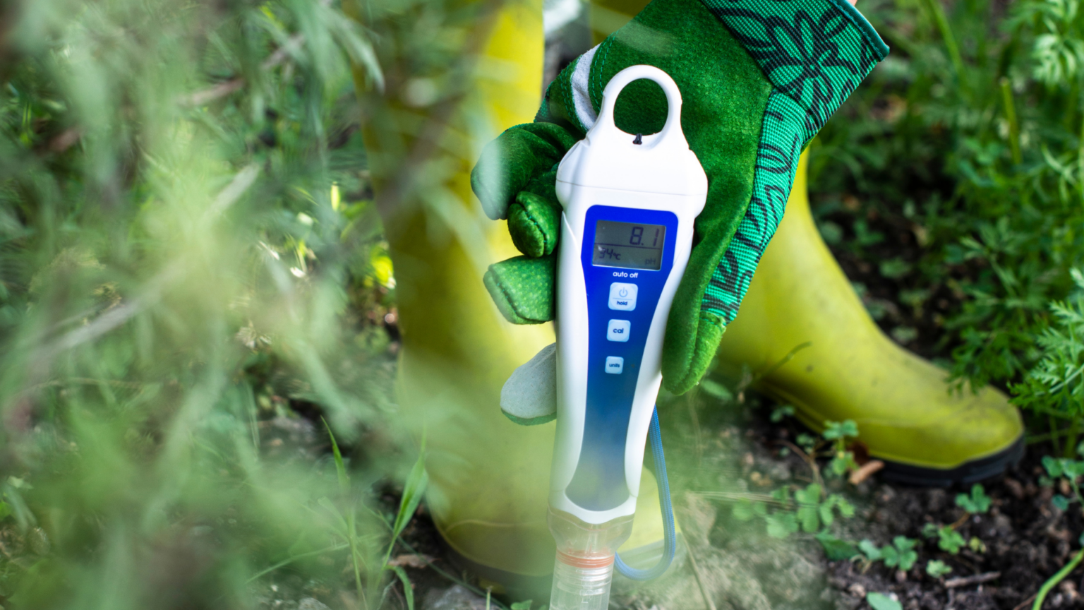 A Guide to Acidic Soil Diagnosis - Kapp's Green Lawn