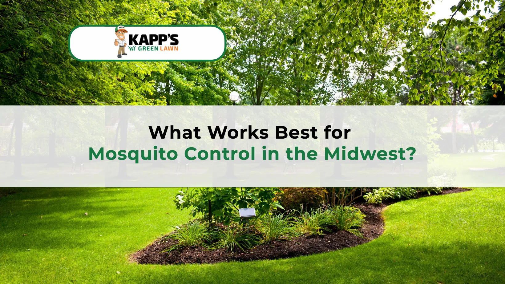Fighting Back Against Late-Season Mosquitoes - Kapp's Green Lawn